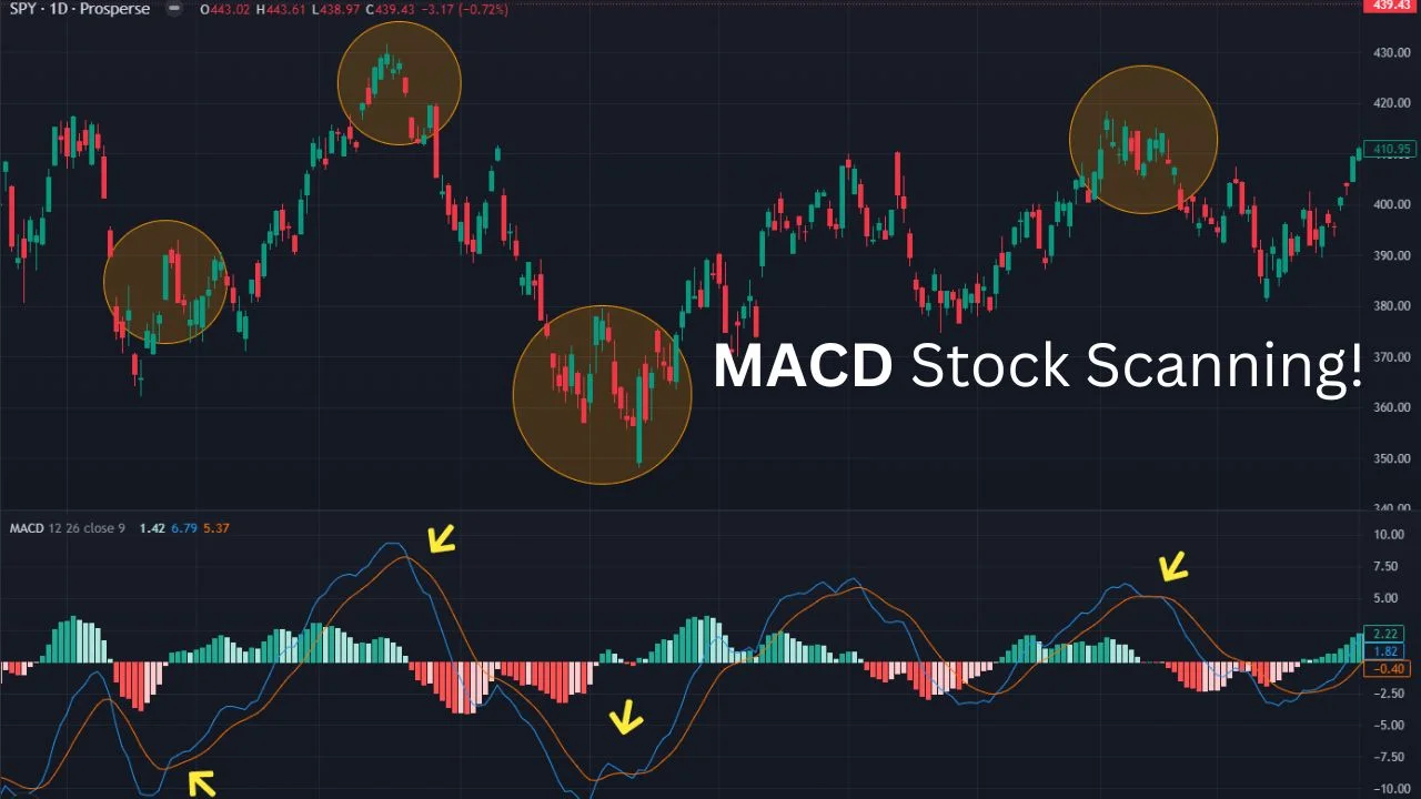 How to Trade & Screen for the MACD Indicator